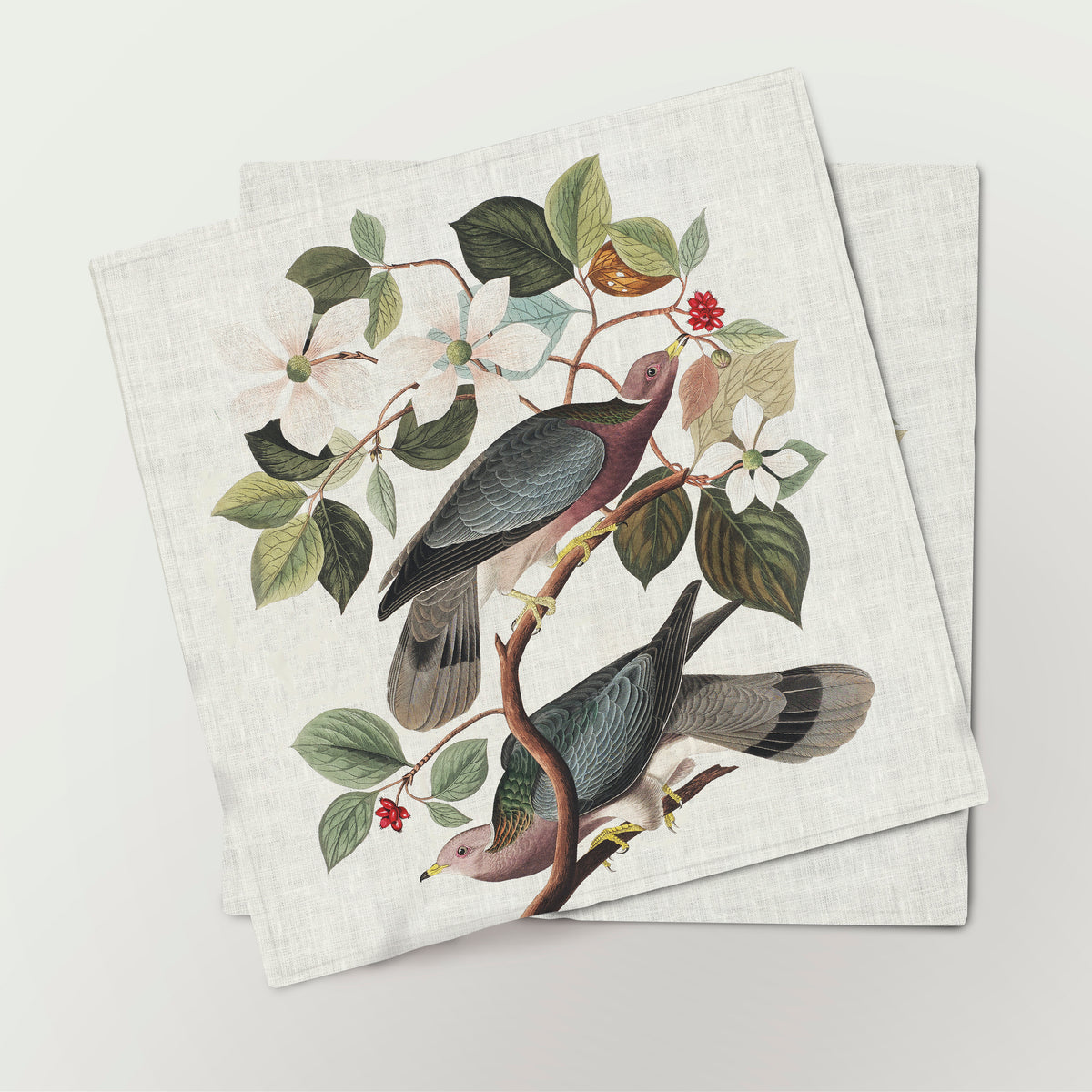 Bond Tailed Pigeons – Daffodils & Delft